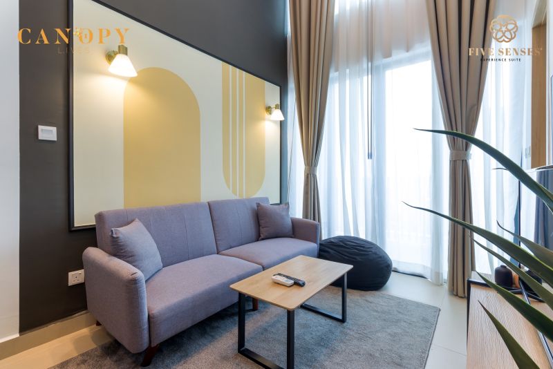 Five Senses | Colony & Luxe